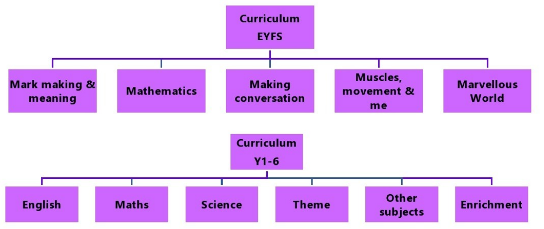 Curriculum Rationale